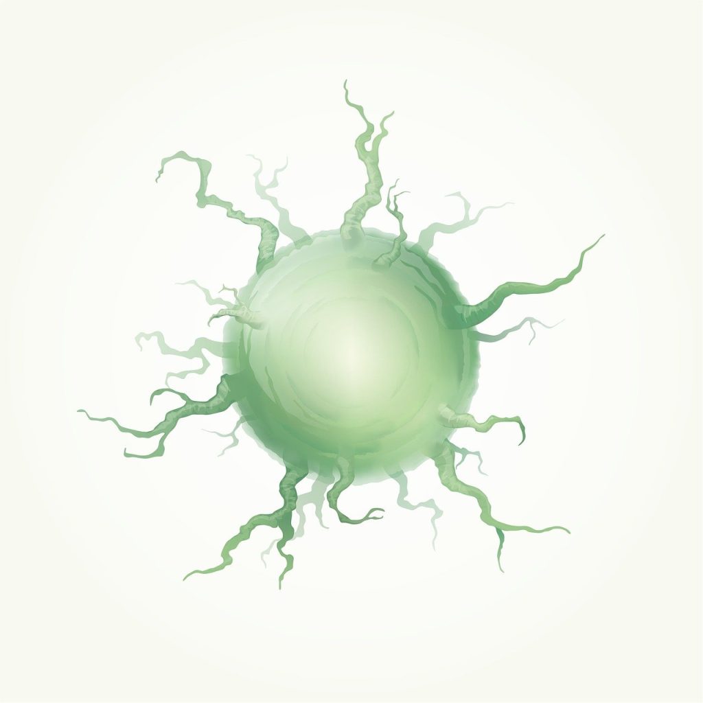 Prof. Harald Walach - Über Wissenschaft, Medizin und alles Mögliche